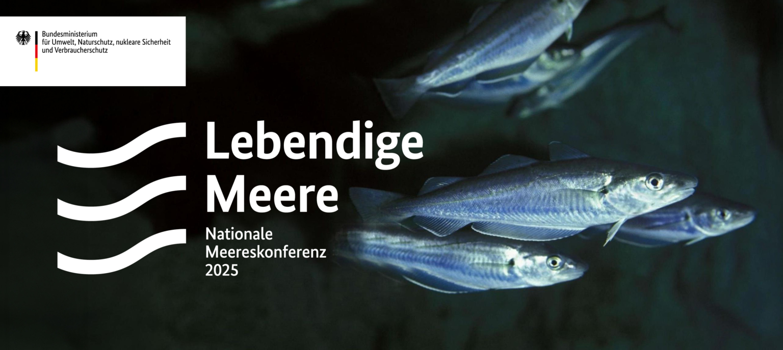 Save the Date: Lebendige Meere - Nationale Meereskonferenz, 6.-7.05.25 ...